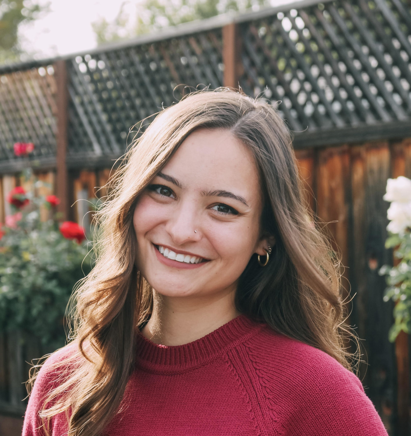 Leadership – Harvard Law School Immigration Project