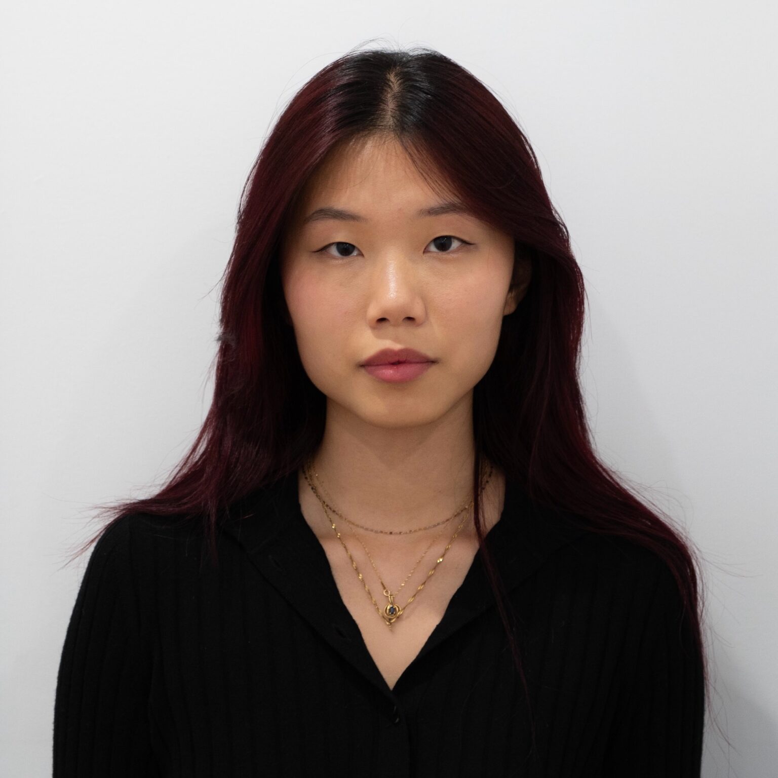 Harvard Law Entrepreneurship Project